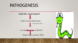 Snake bites | PPTX