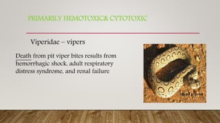 Snake bites | PPT