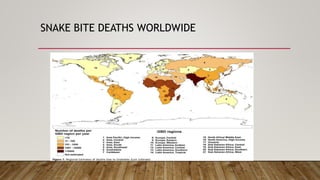 Snake bites | PPT