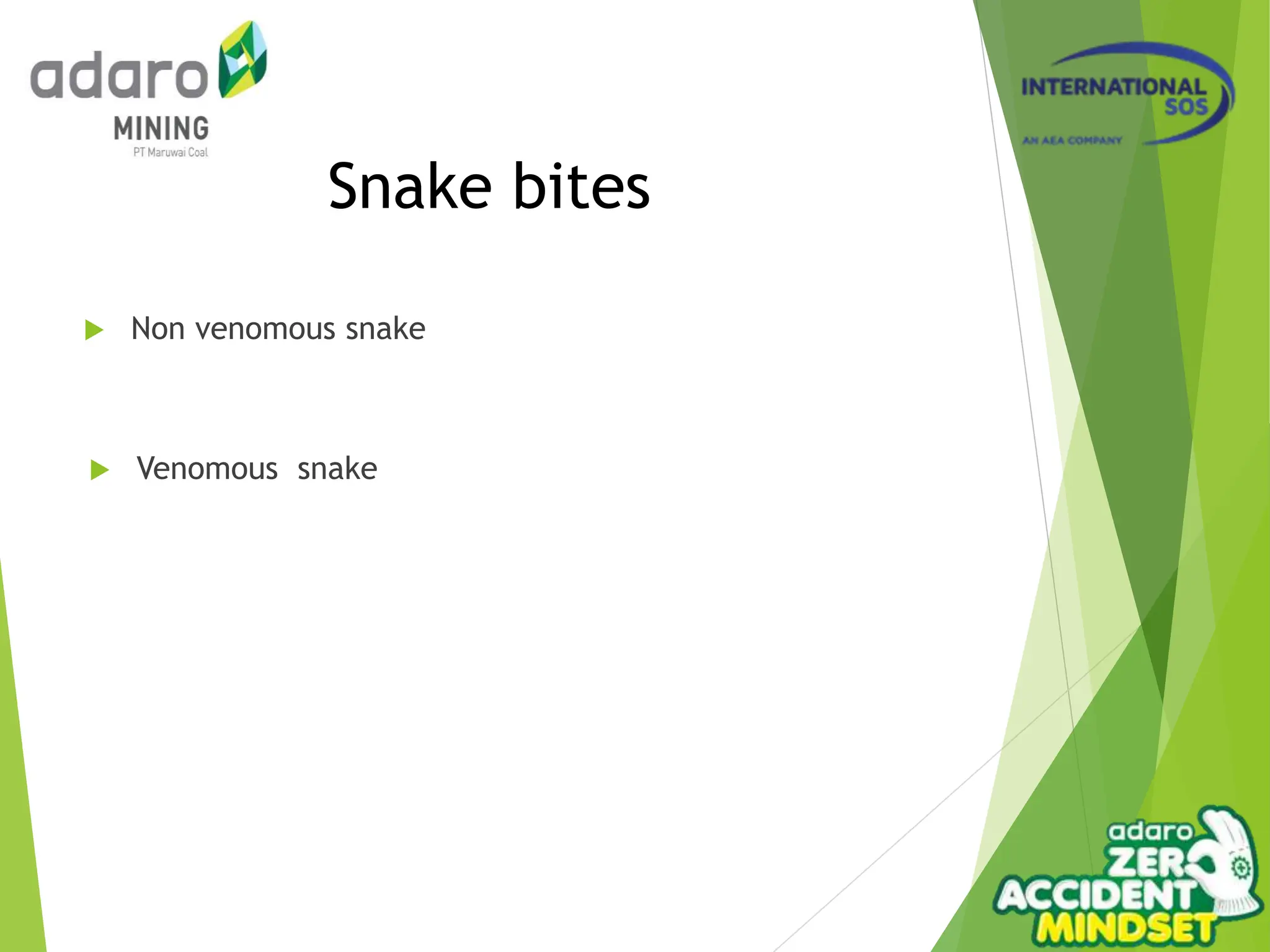 Snake Bites.pptx