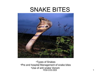 SNAKE BITES- latest-1.ppt tx 2024. | PPT