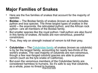 SNAKE BITES- latest-1.ppt tx 2024. | PPT