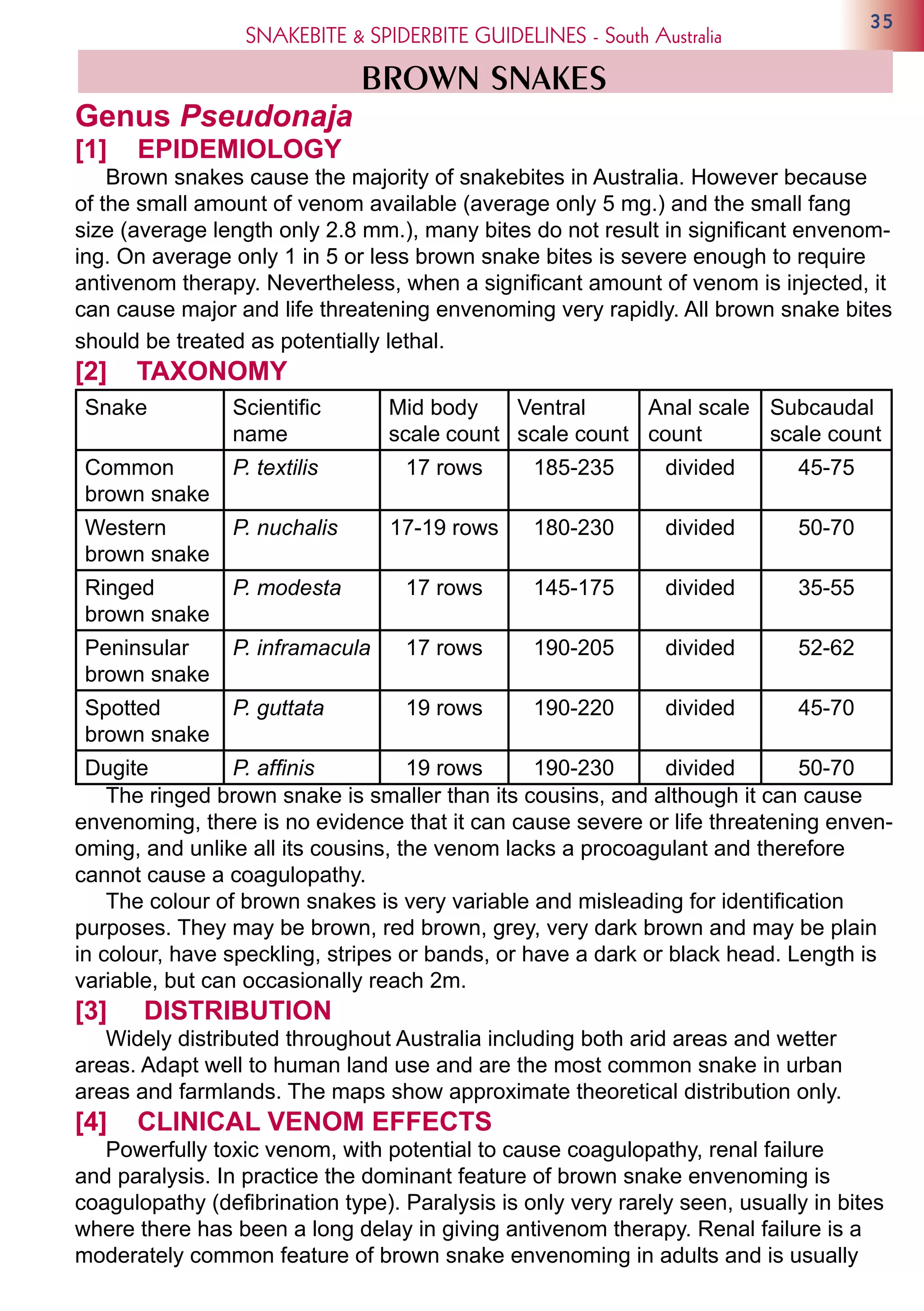 Snakebite spiderbiteguidelinessa sa-health08(1) | PDF