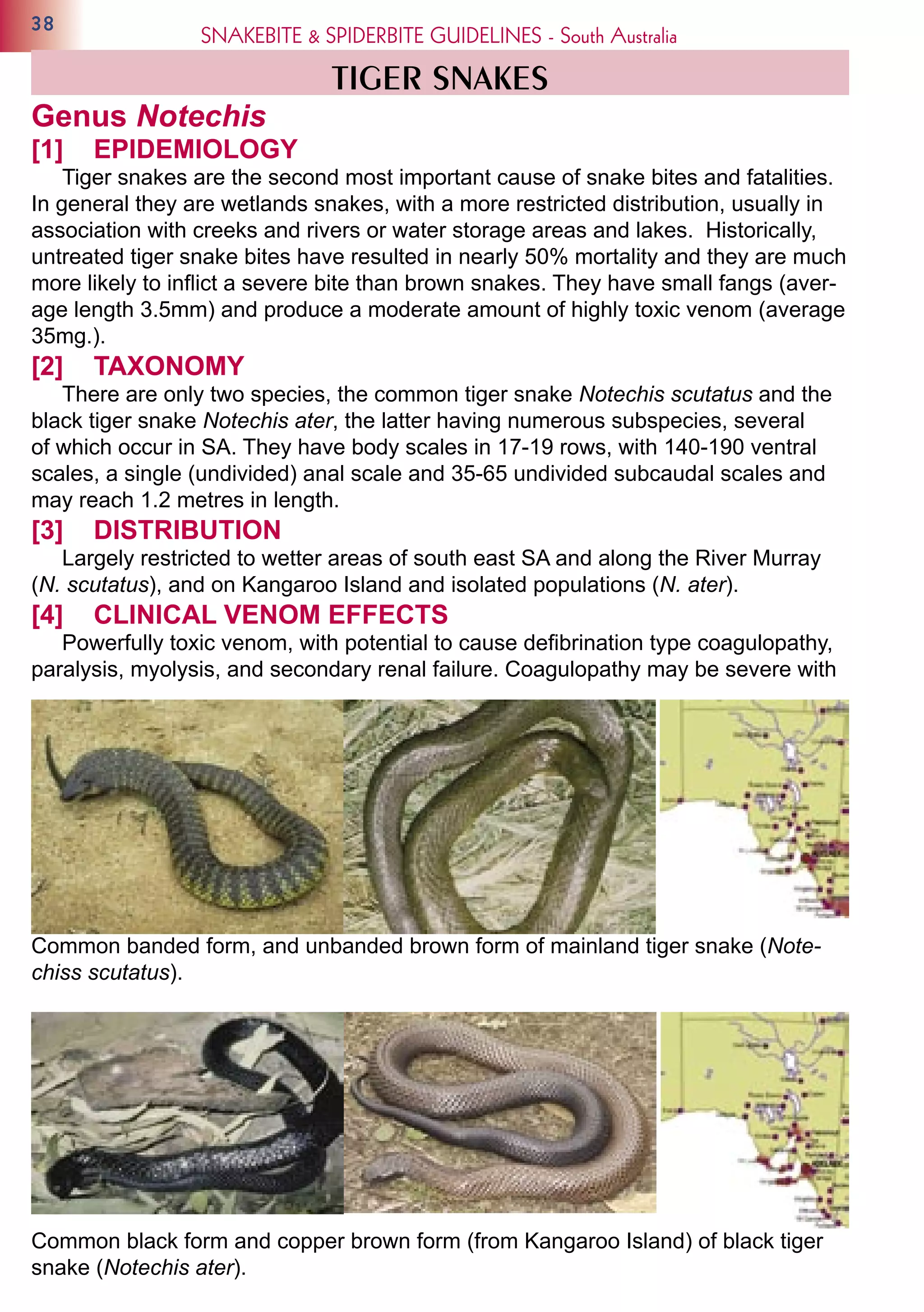 Snakebite spiderbiteguidelinessa sa-health08(1) | PDF