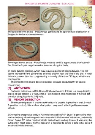 Pattern Snake Bite