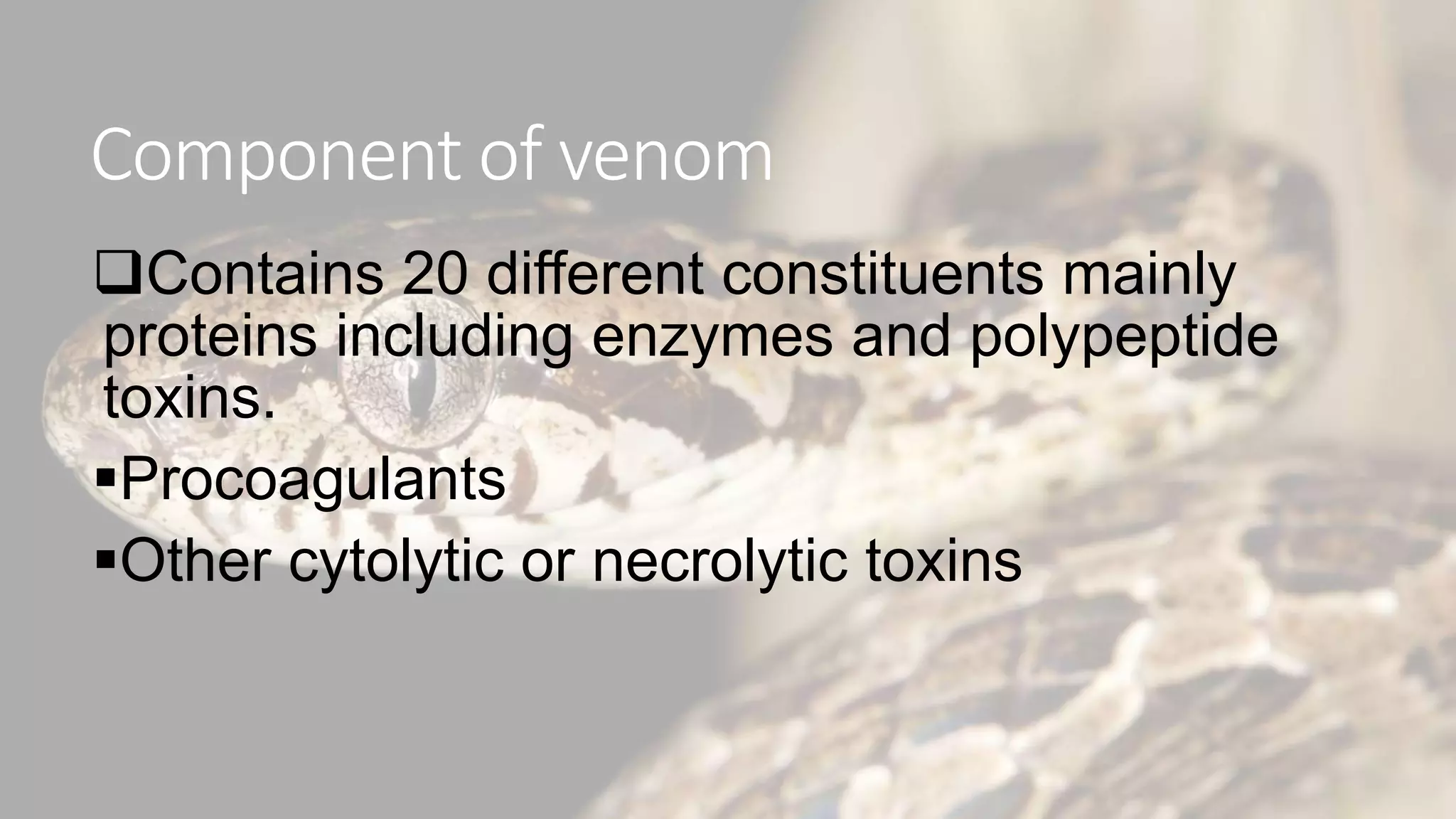 Snake bite and its management by first aid and antivenom | PPTX