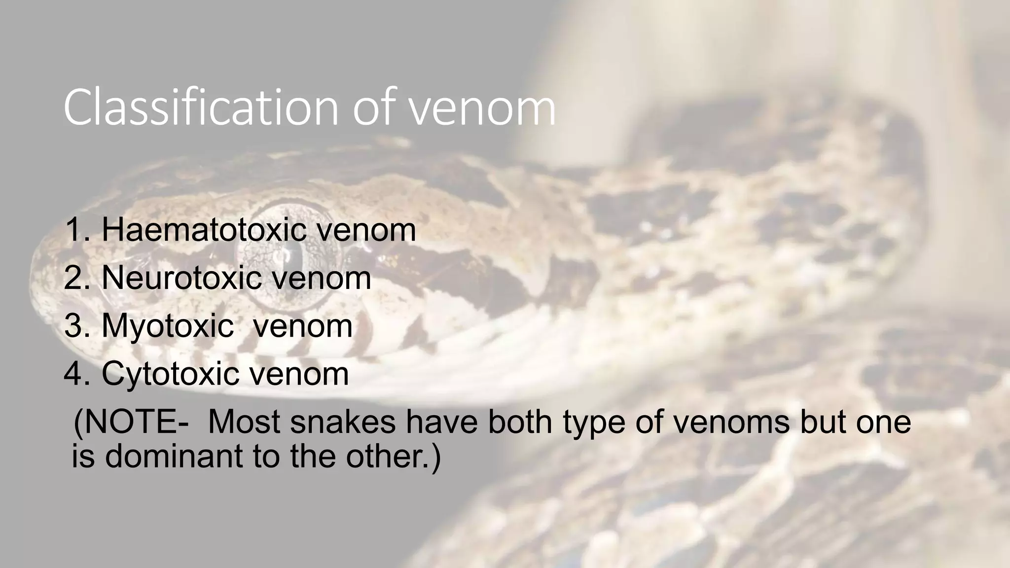 Snake bite and its management by first aid and antivenom | PPTX