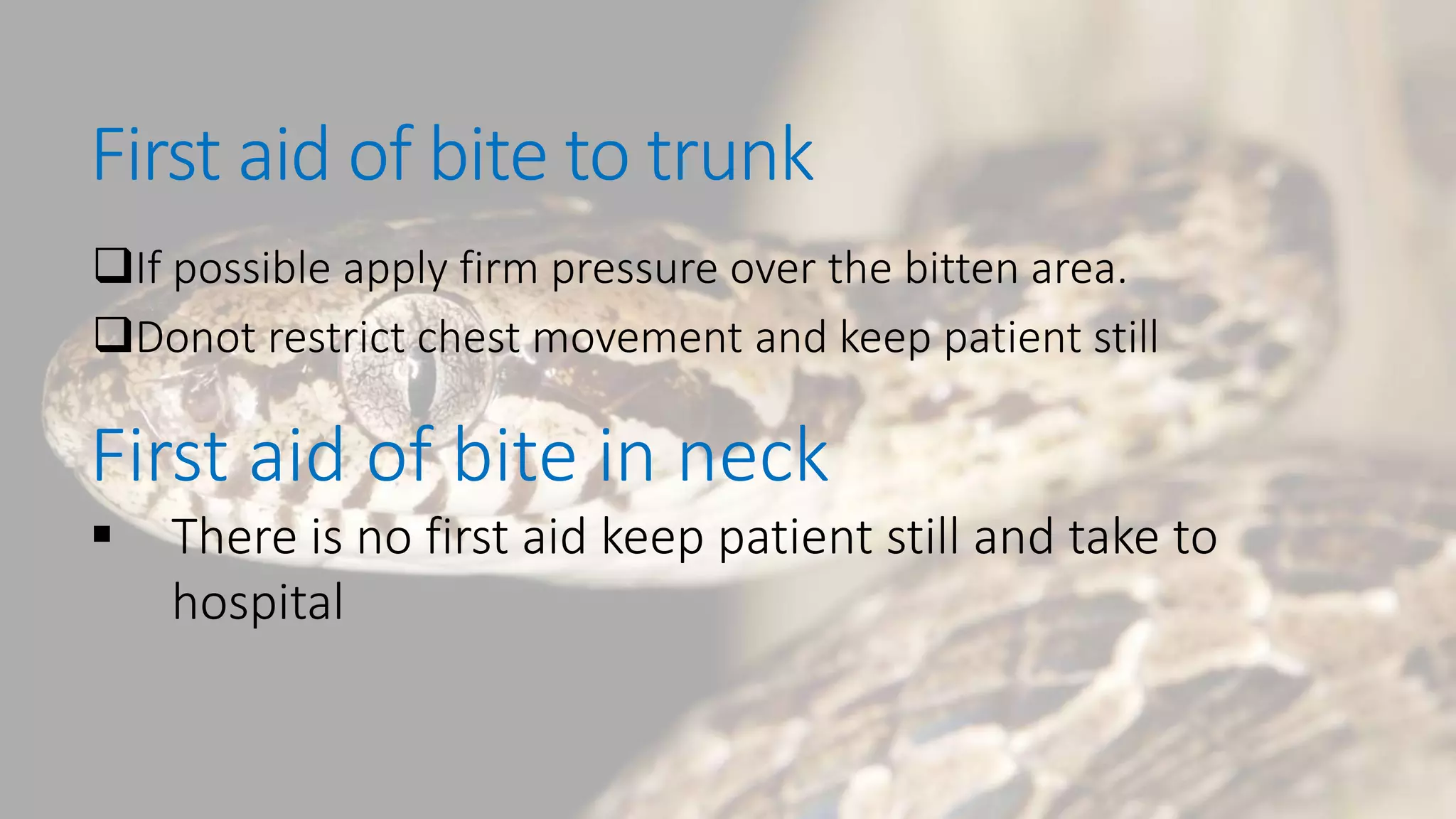 Snake bite and its management by first aid and antivenom | PPTX