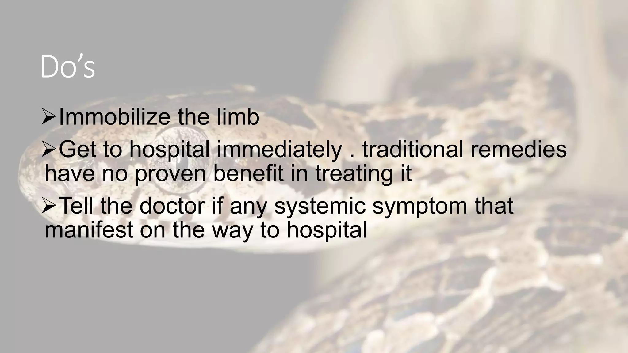 Snake bite and its management by first aid and antivenom | PPTX
