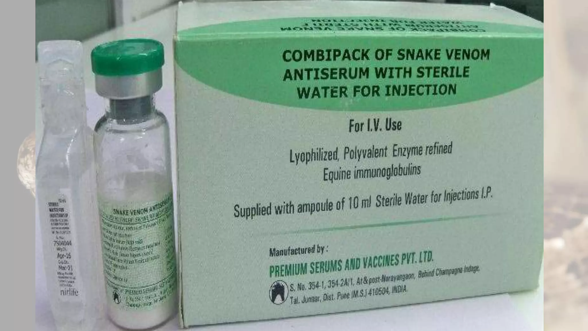 Snake bite and its management by first aid and antivenom | PPTX