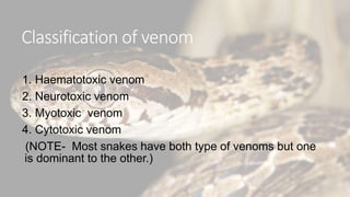 Snake bite and its management by first aid and antivenom | PPTX