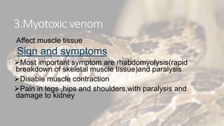 Snake bite and its management by first aid and antivenom | PPTX