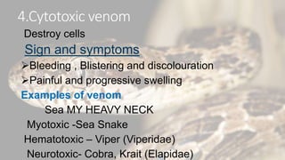 Snake bite and its management by first aid and antivenom | PPTX