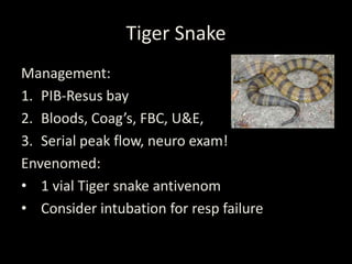 Snake Bite Management for the ED Nurse | PPTX | First Aid | Injuries