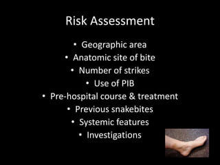 Snake Bite Management for the ED Nurse | PPTX | First Aid | Injuries