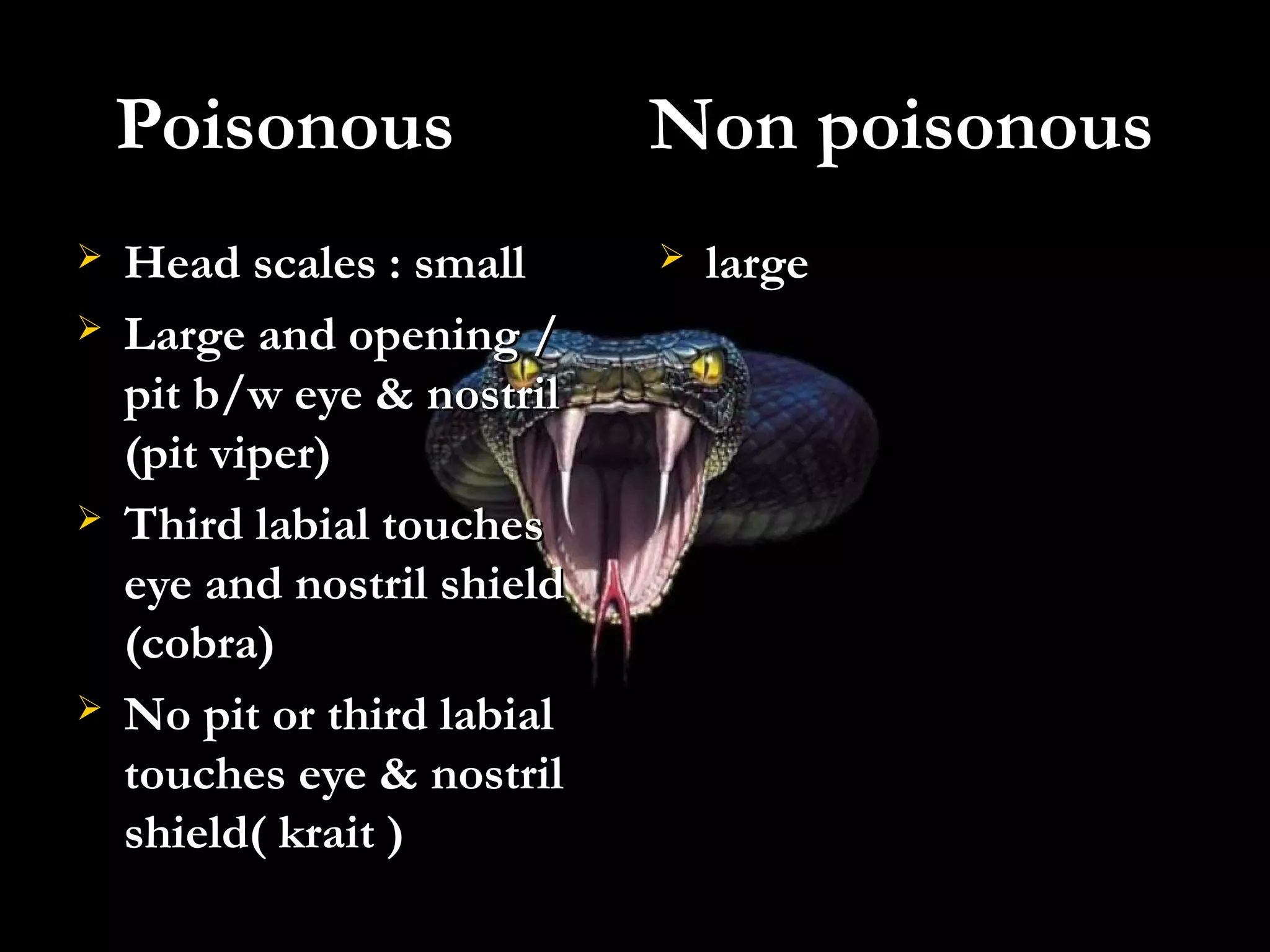 Snake bite and its management | PPT