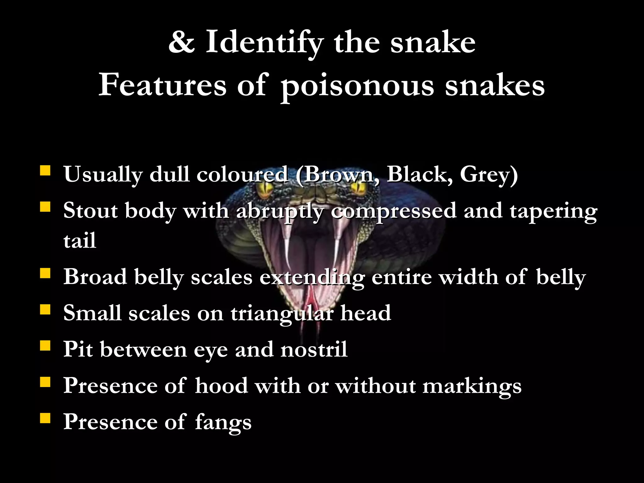 Snake bite and its management | PPT