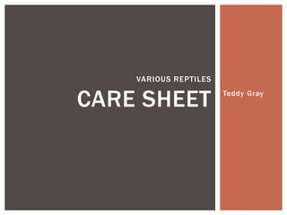 Reptile Care Sheet | PPTX