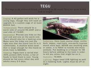 Reptile Care Sheet | PPTX