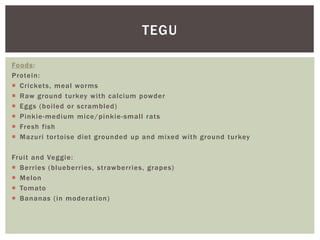 Reptile Care Sheet | PPTX