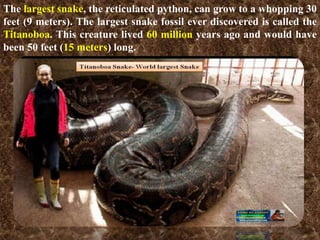 A SNAKE CHARMER’S STORY - ENVIRONMENTAL STUDIES CBSE-V | PPT