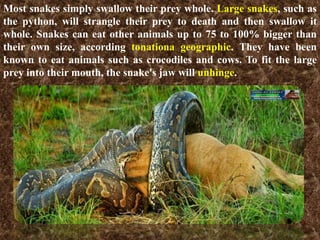 A SNAKE CHARMER’S STORY - ENVIRONMENTAL STUDIES CBSE-V | PPT