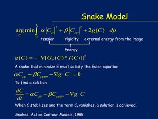 Snakes in Images (Active contour tutorial) | PPTX