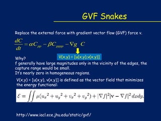 Snakes in Images (Active contour tutorial) | PPTX