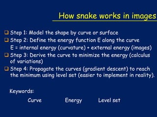 Snakes in Images (Active contour tutorial) | PPTX