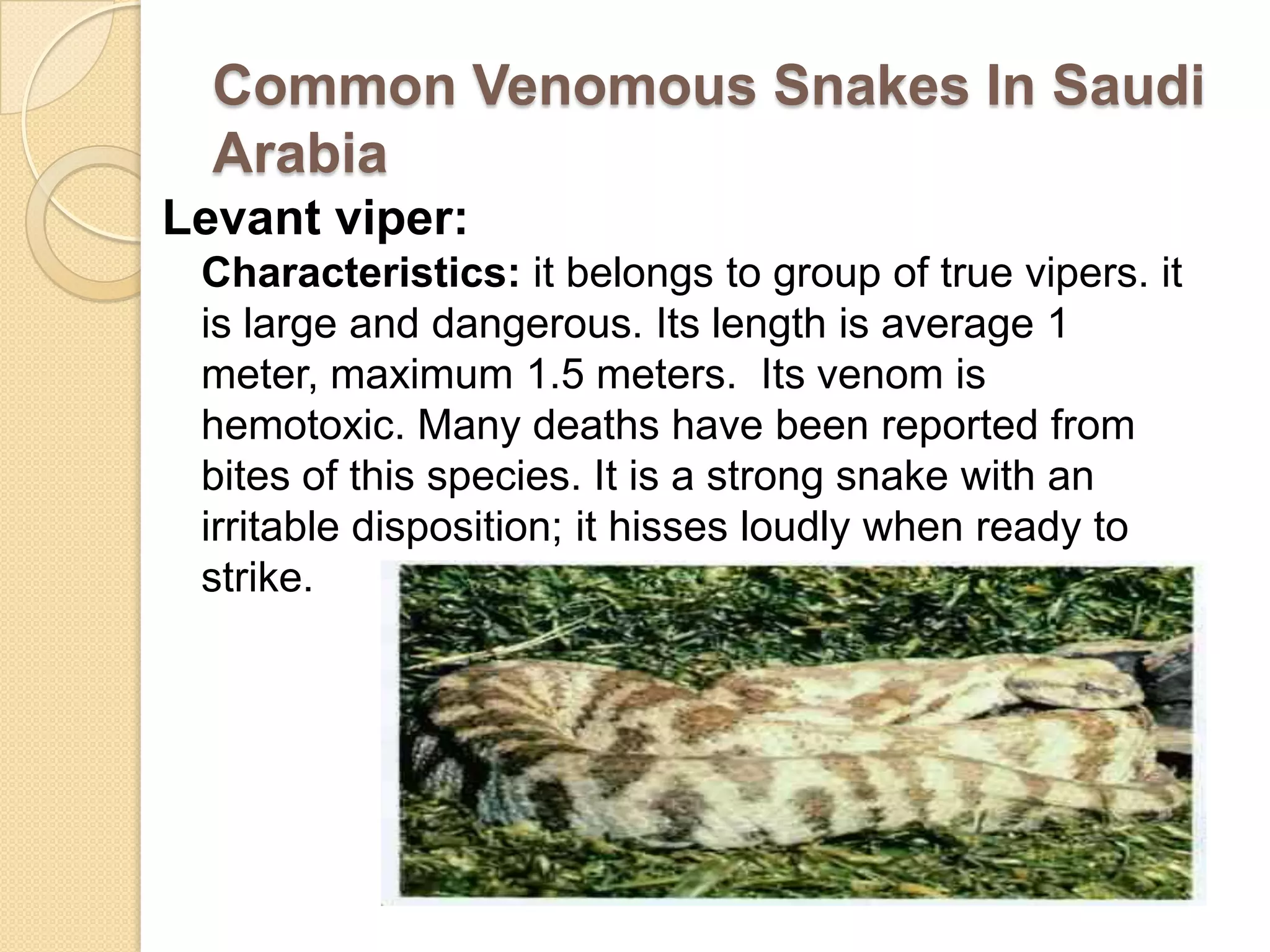 Snake envenomation | PPTX