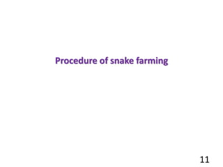 Snake Farming in/of Bangladesh | PPTX