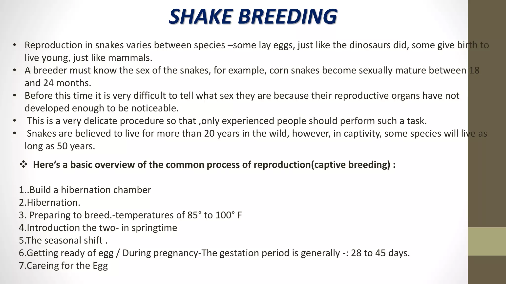 Snake farming | PPT