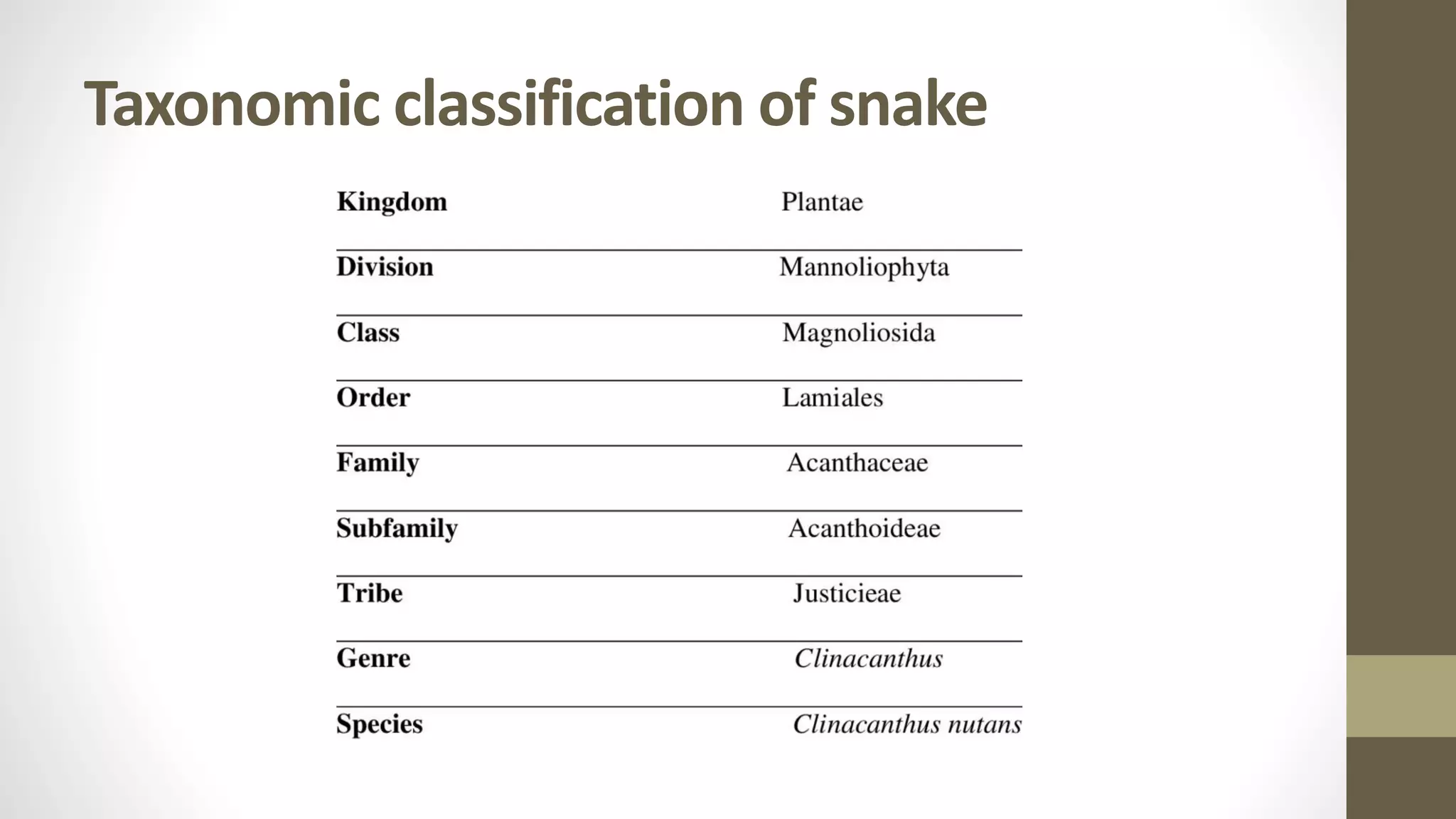 Snake farming | PPT