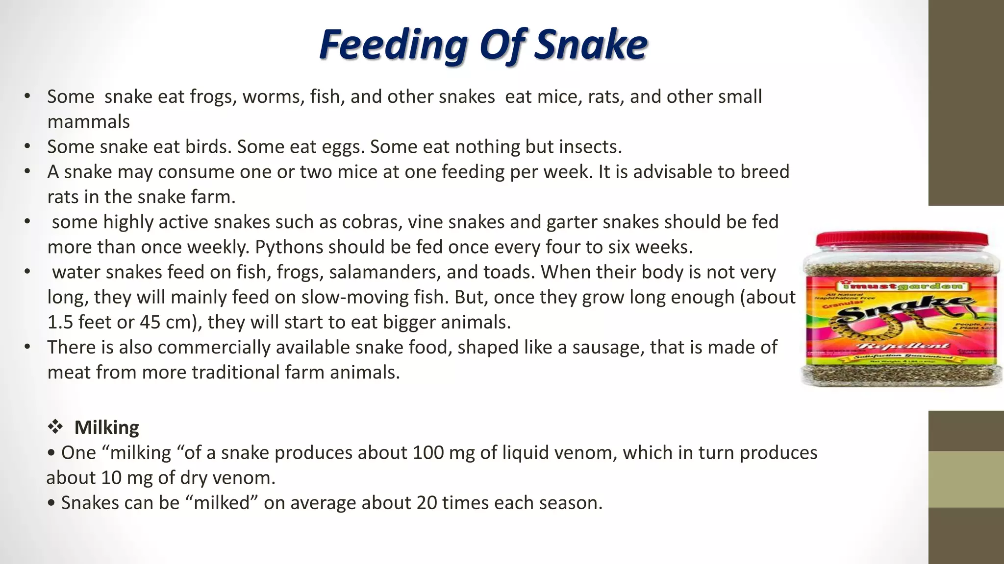 Snake farming | PPT