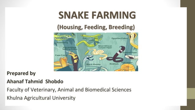 Snake farming | PPT