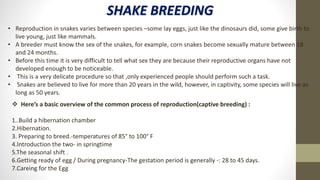 Snake farming | PPT