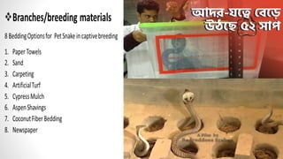Snake farming | PPT