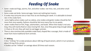 Snake farming | PPT