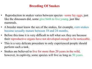 Snake farming slide | PPTX | Agriculture | Industries