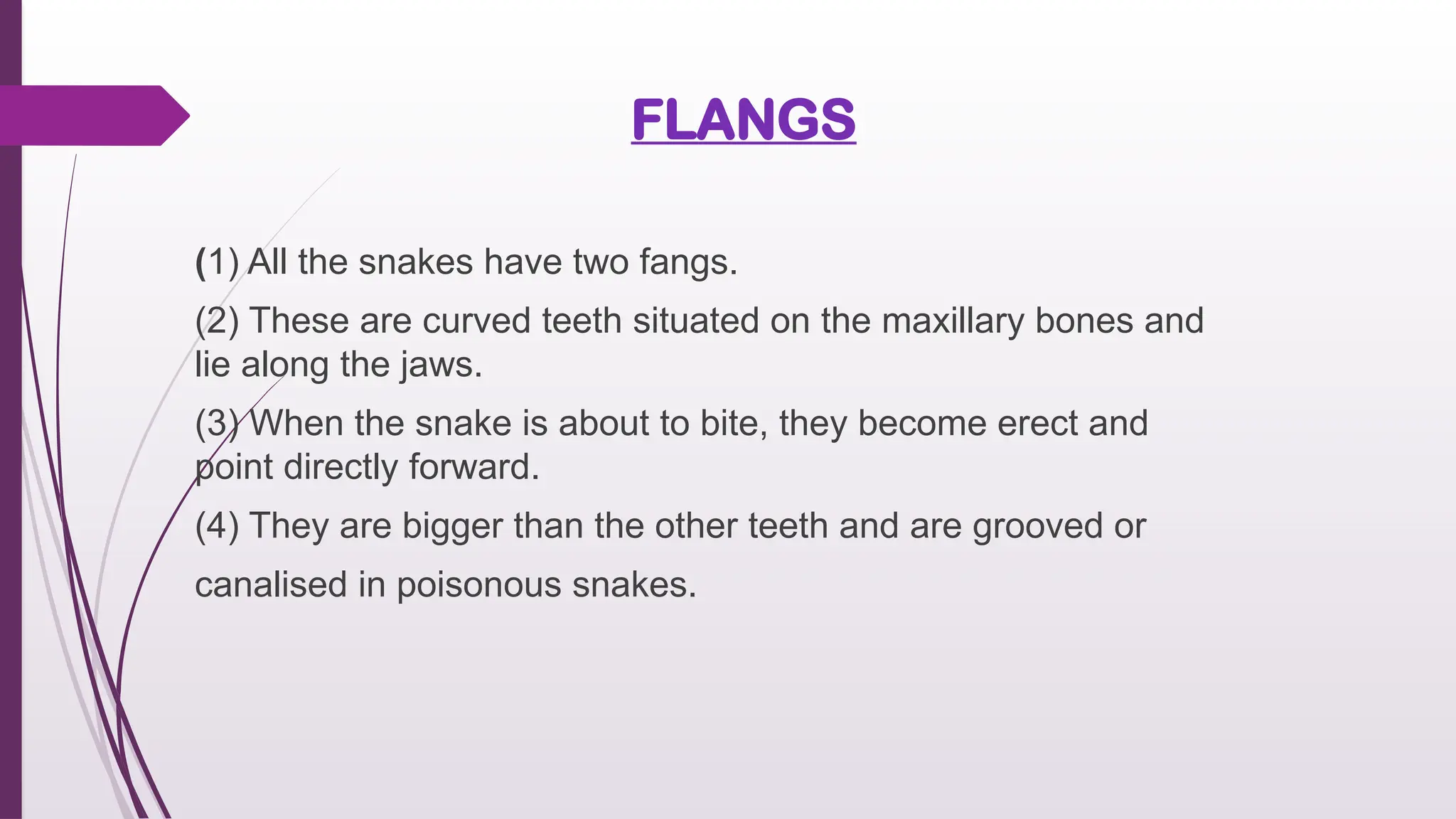 Snake Forensic ,types of snakes- Edited-1.pptx