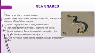 Snake Forensic ,types of snakes- Edited-1.pptx