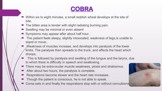 Snake Forensic ,types of snakes- Edited-1.pptx