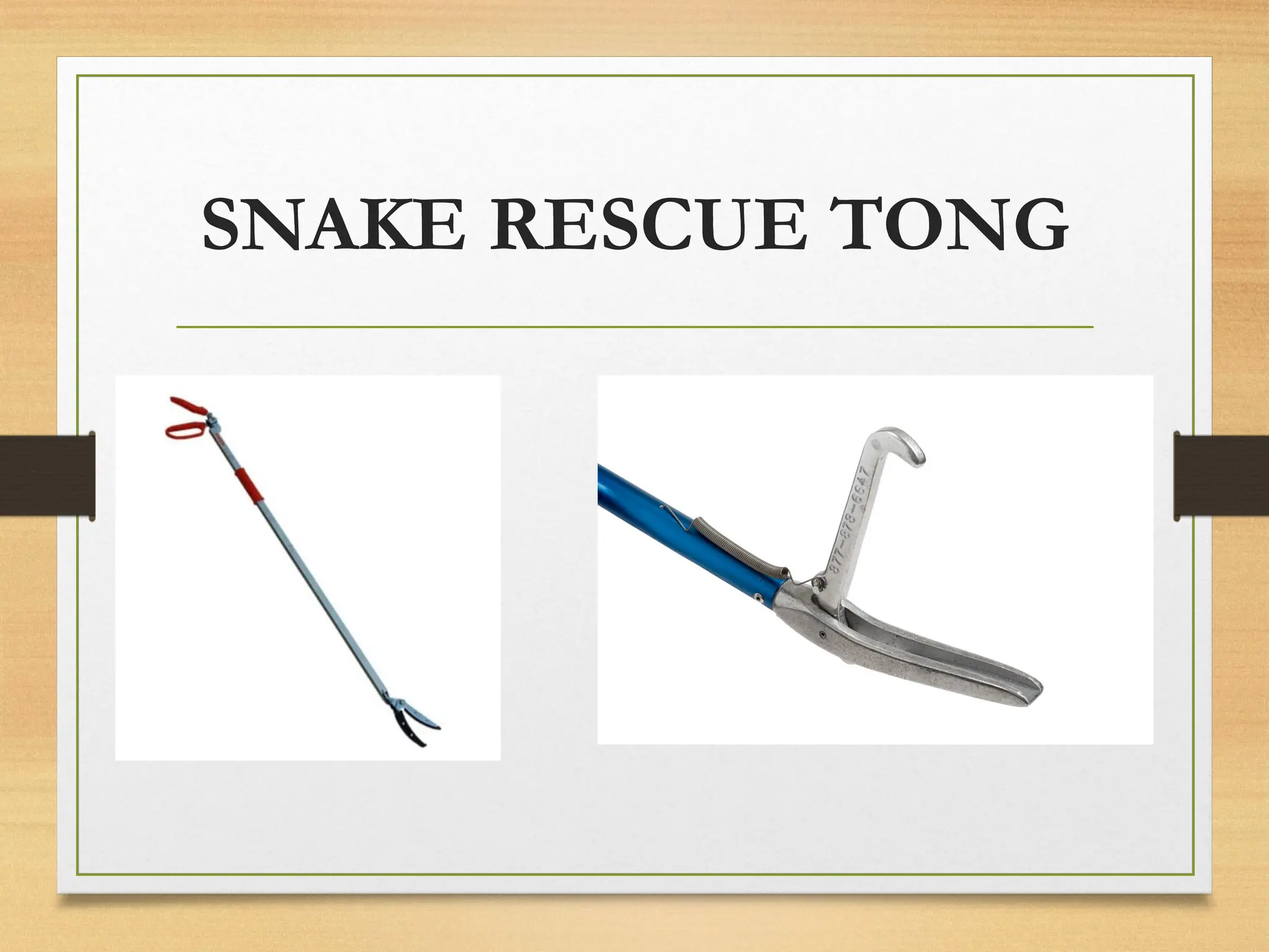 Snake handling basics and safety gears.ppt