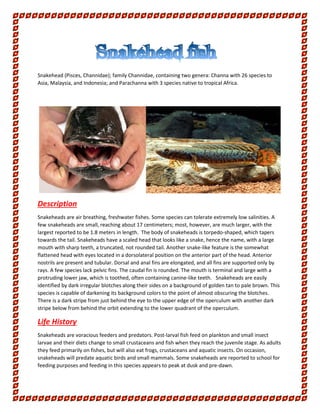 Snakehead fish | PDF