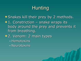 Snake notes | PPT