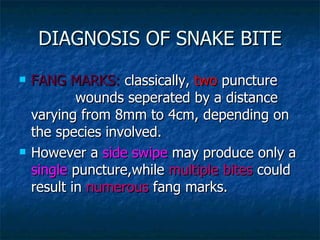 Snake Bite.ppt