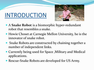 Snakeppt1 copy | PPT