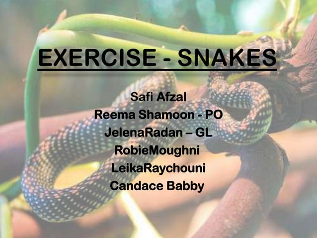 Snake Exercise Presentation | PPT