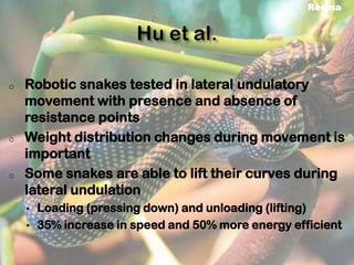 Snake Exercise Presentation | PPTX