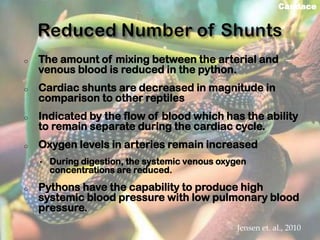Snake Exercise Presentation | PPTX